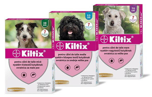 Kiltix® nyakörv kutyáknak